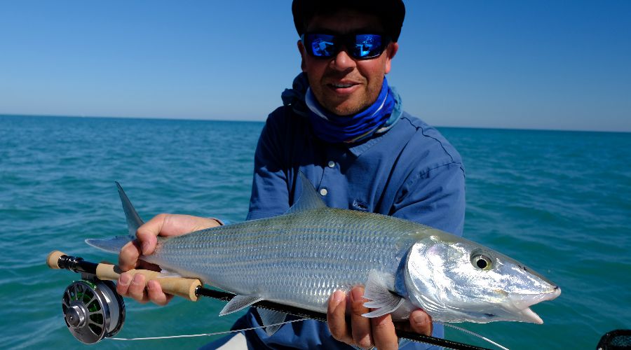 Capt. Bou Charters - A fishing guide for bonefish, tarpon, permit ...